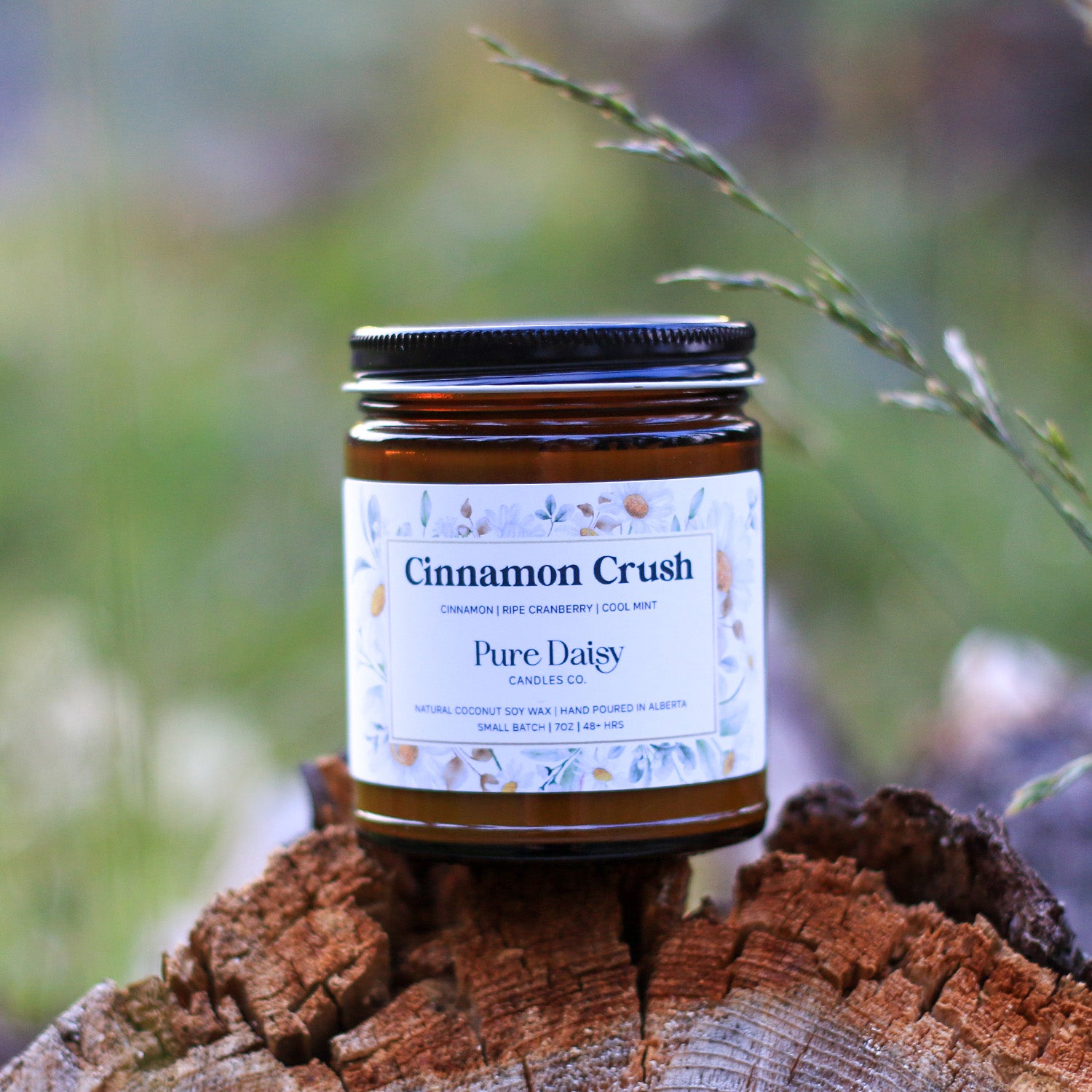 Cinnamon Crush – Pure Daisy
