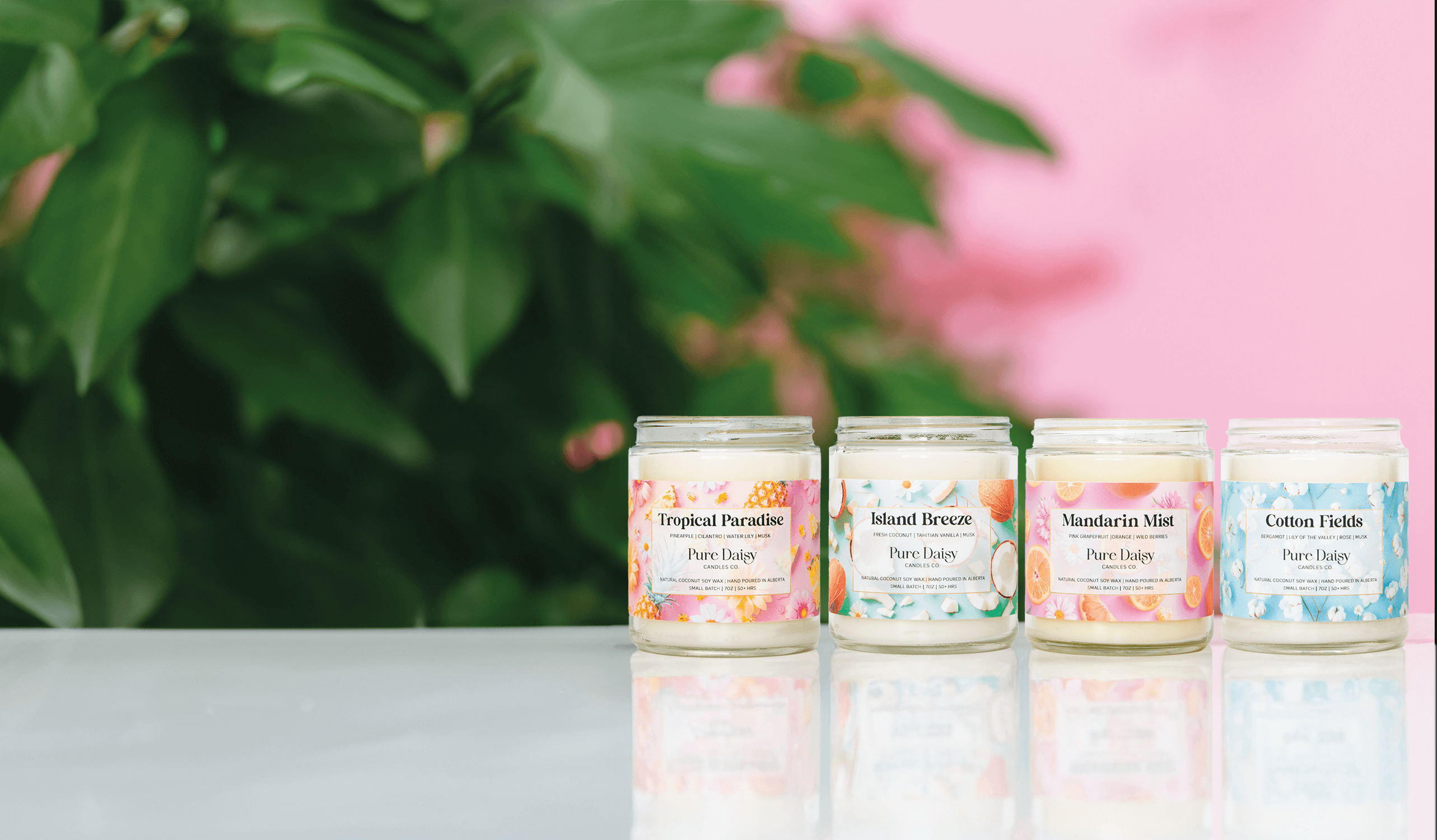Pure Daisy - Handmade Coconut Soy Candles